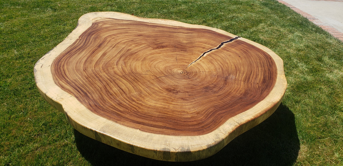 Solid Round Slabs – Alive Edge Designs